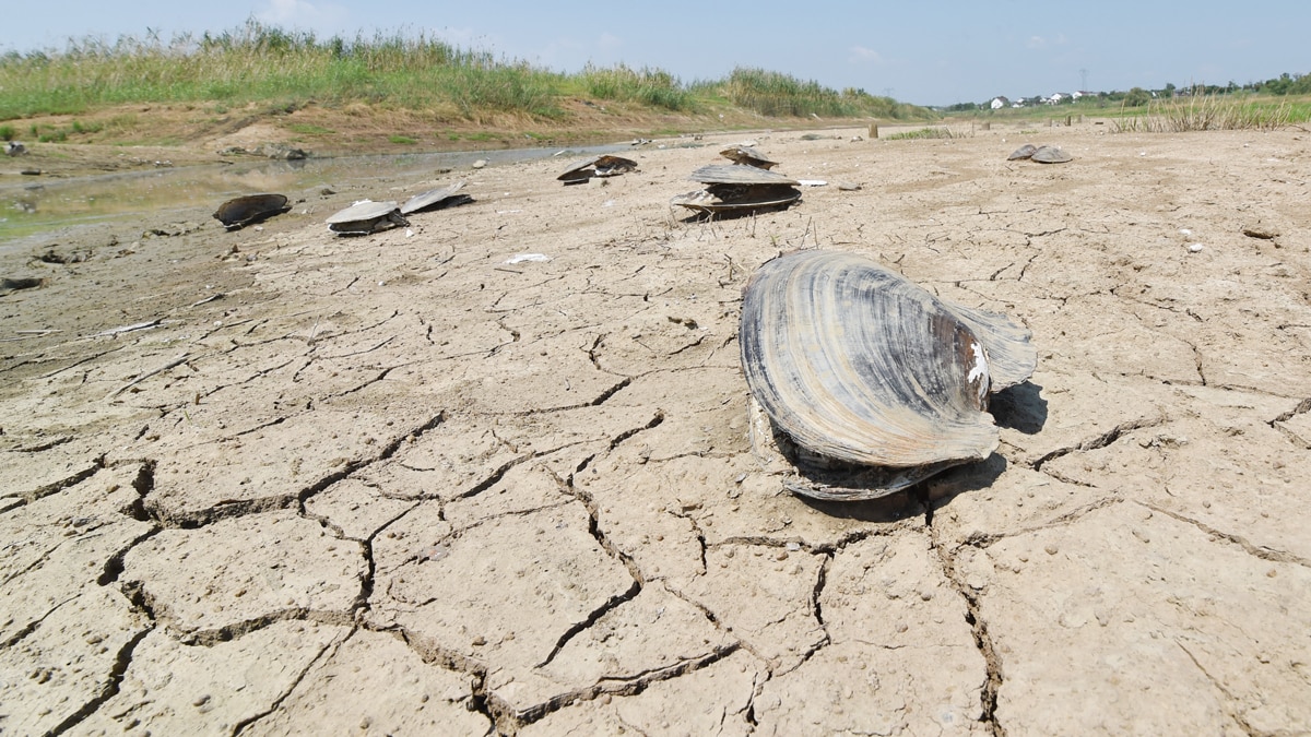 China Hit by Drought as Nation Records High Monthly Temperatures