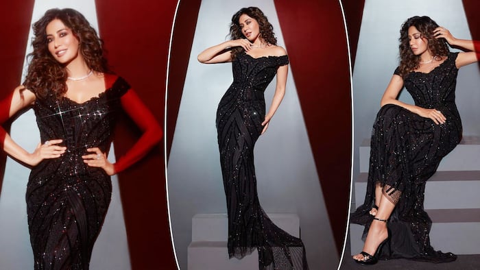 Chitrangada Singh Leaves Fans Awestruck as She Dazzles in Shimmery ...