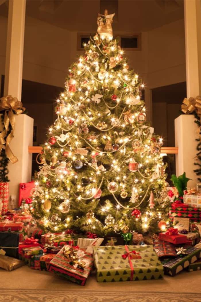 Top 8 festivals of December in India