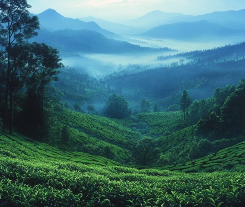 5 Stunning Viewpoints In Ooty You Can’t Miss