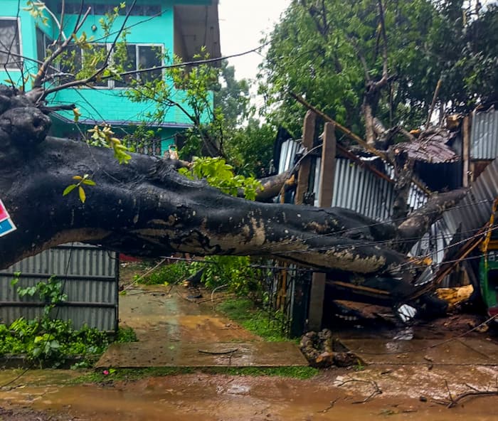 In Pics: From Assam to Howrah; Check Aftermath of Cyclone Remal