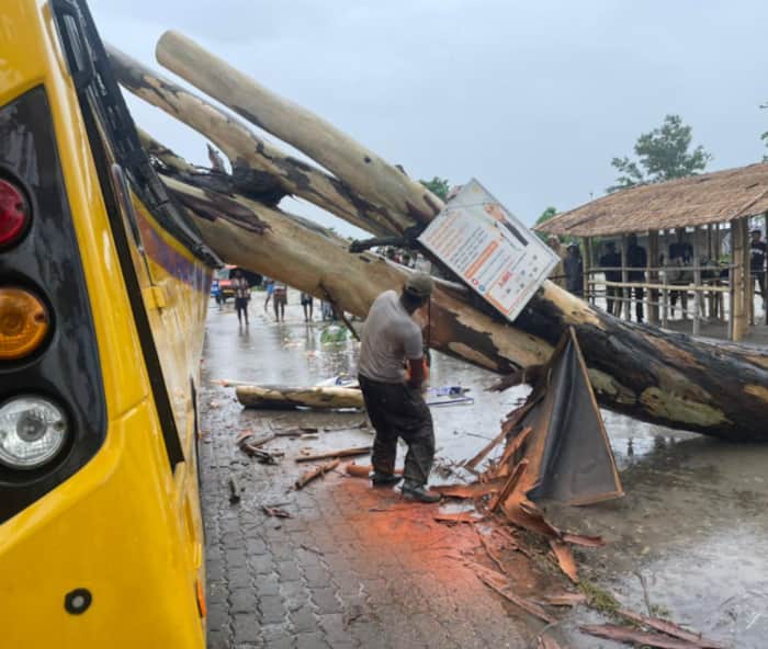 Pics: Cyclone Remal Leaves Trail Of Destruction In Assam