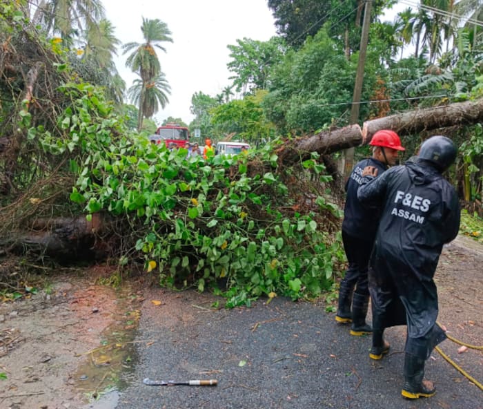 Pics: Cyclone Remal Leaves Trail Of Destruction In Assam