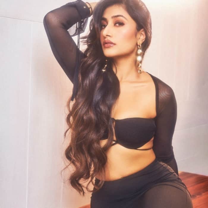 Dhanashree Verma vs Yuzvendra Chahal: Who is older? Check their educational qualification