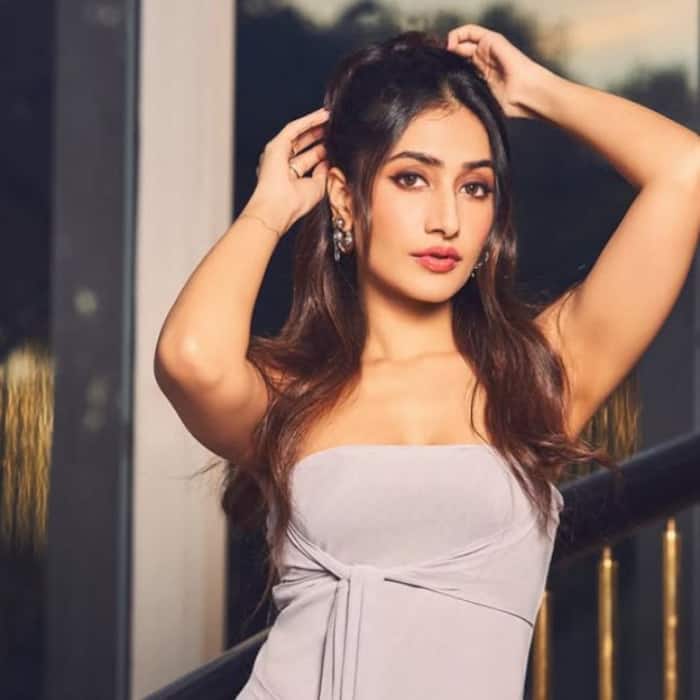 Dhanashree Verma hints about her new partner after divorce with Yuzvendra Chahal, his name is.....