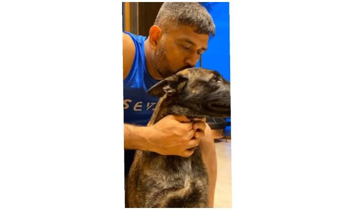MS Dhoni's Furry Love Will Introduce You to The Other Side of CSK ...
