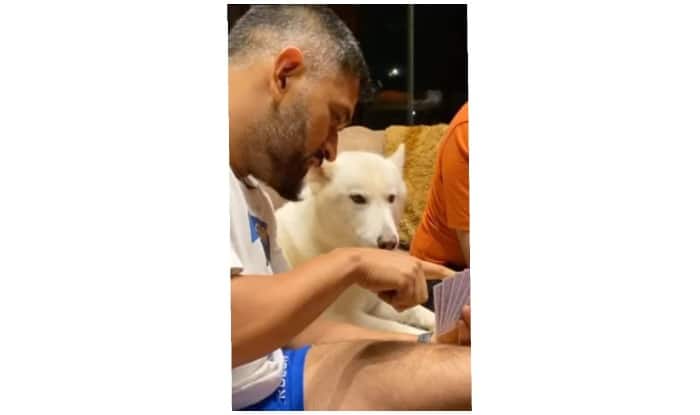 MS Dhoni's Furry Love Will Introduce You to The Other Side of CSK ...
