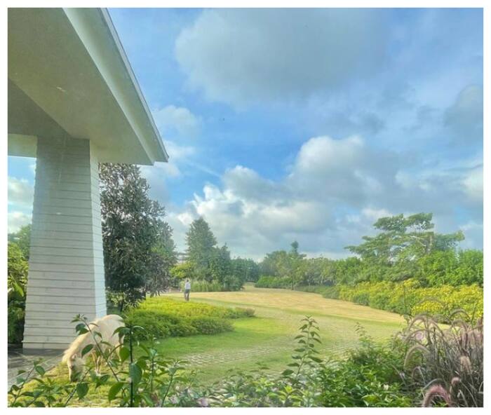 A look inside MS Dhoni's stunning Rs 6 crore Ranchi farmhouse, In pics