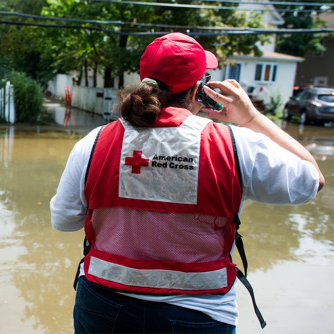 Disaster response makes up the largest portion of the IFRC s work