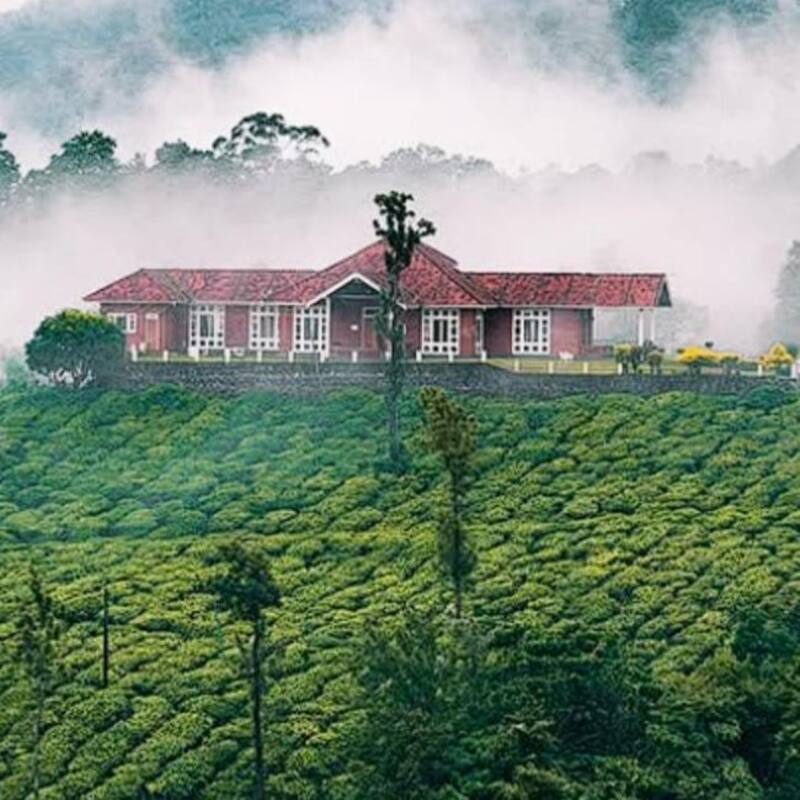 7 Reasons Why Wayanad Should Be On Your Summer Wishlist