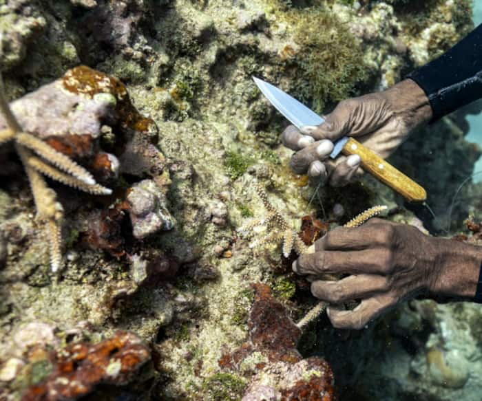7 Photos That Define Climate Change Is Real