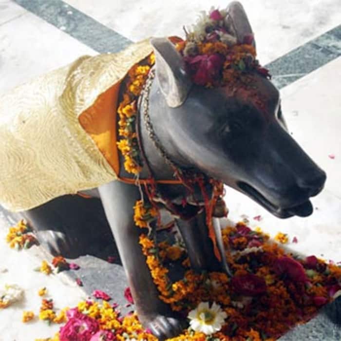 10 weird temples in India: From Sachin Tendulkar to Sonia Gandhi temple ...