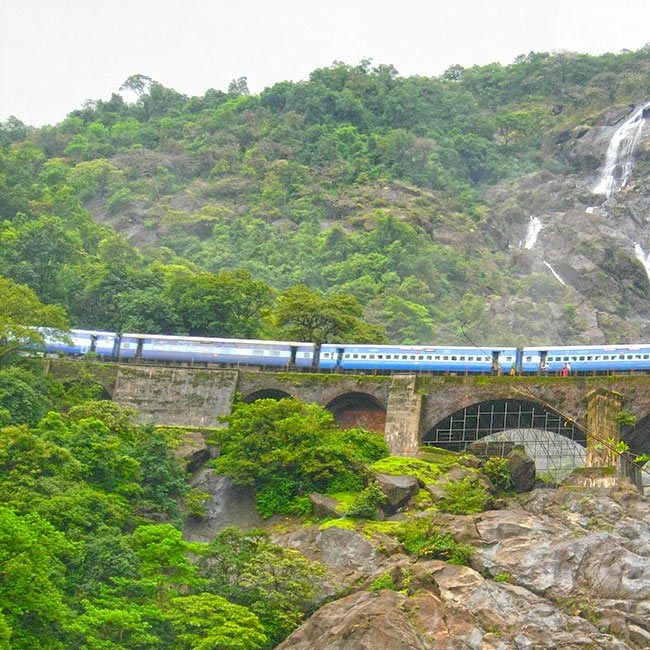 Dhaundhar Falls, Madhya Pradesh