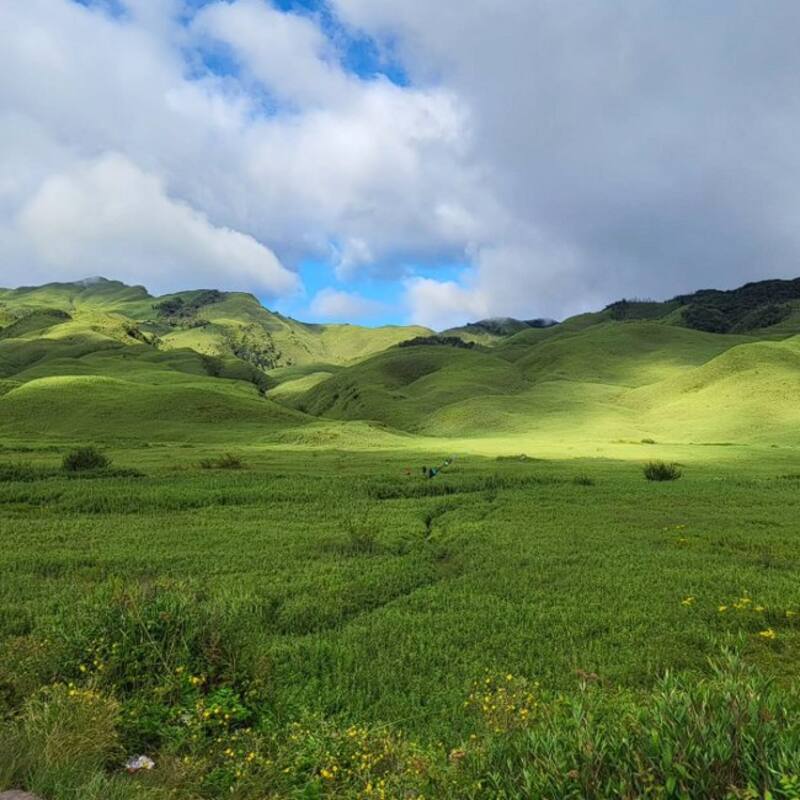 6 Most Breathtaking Flower Valleys In India