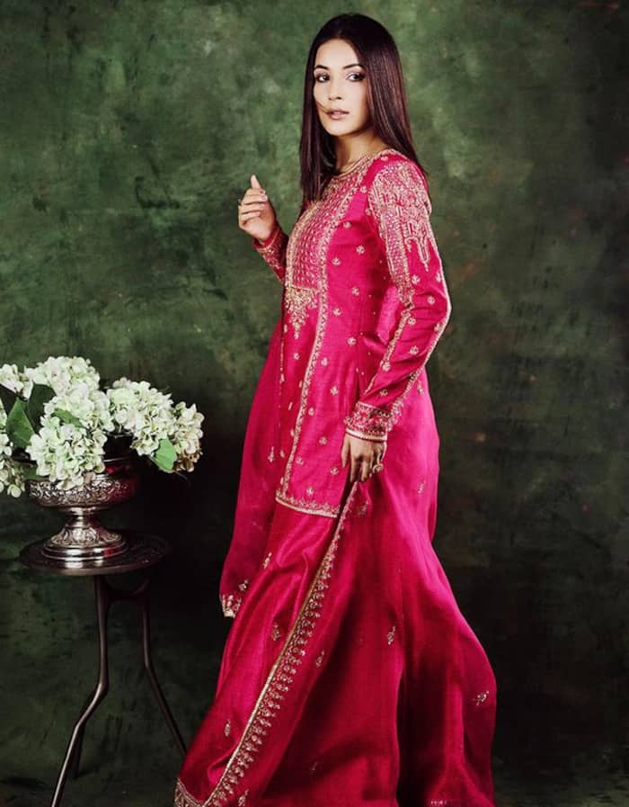 Shehnaaz Gill Makes us Blush in Pretty Pink Sharara Set Worth Rs 69K- See Mesmerizing PICS