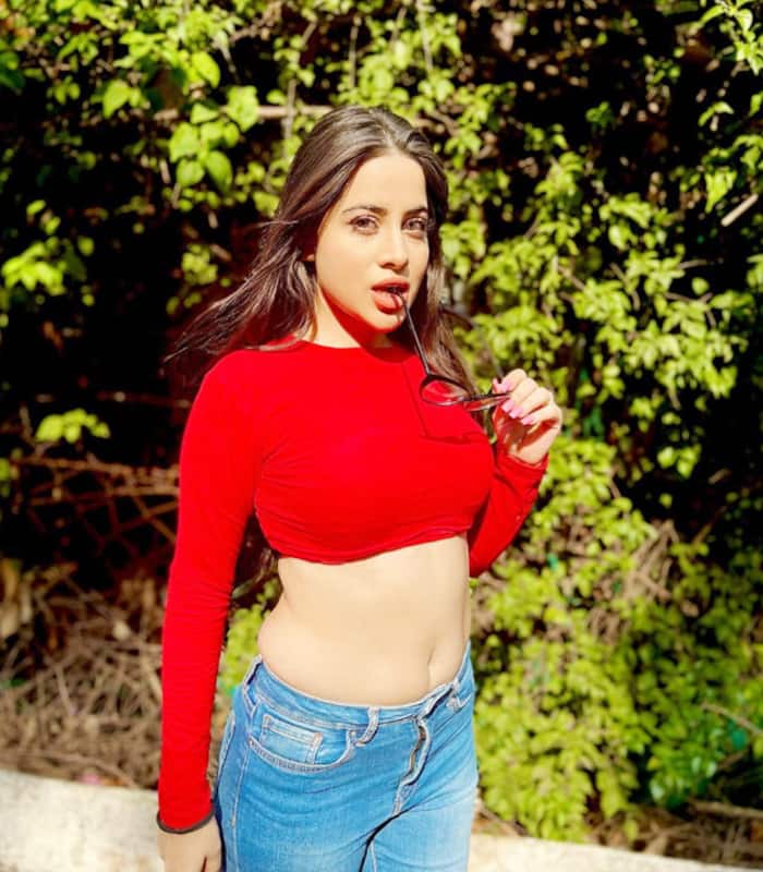 Urfi Javed flaunts hot waistline in viral pictures