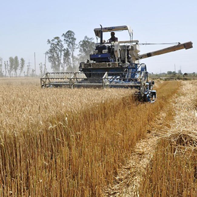 Harvesting Crops