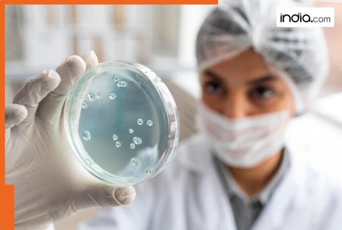 How to stay safe from brain-eating amoeba lurking in pools and water ...