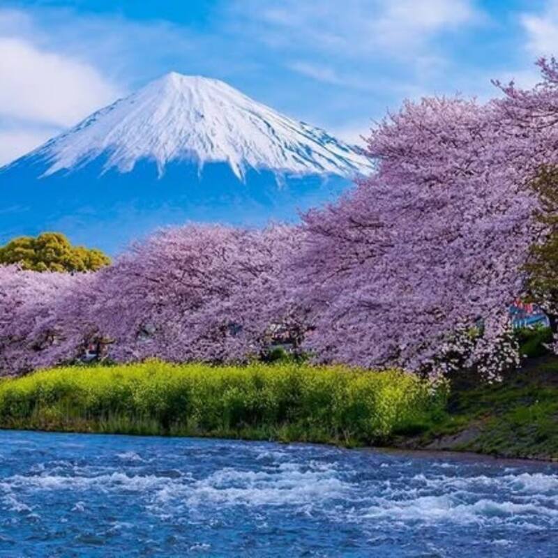 Discover The 7 Most Beautiful National Parks In Asia