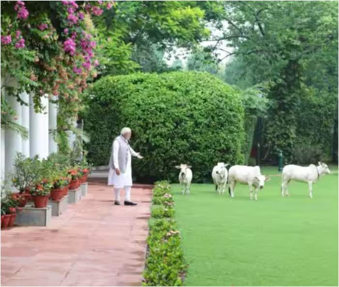 Year Ender 2023: PM Modi's Memorable Moments From The Year | Check ...