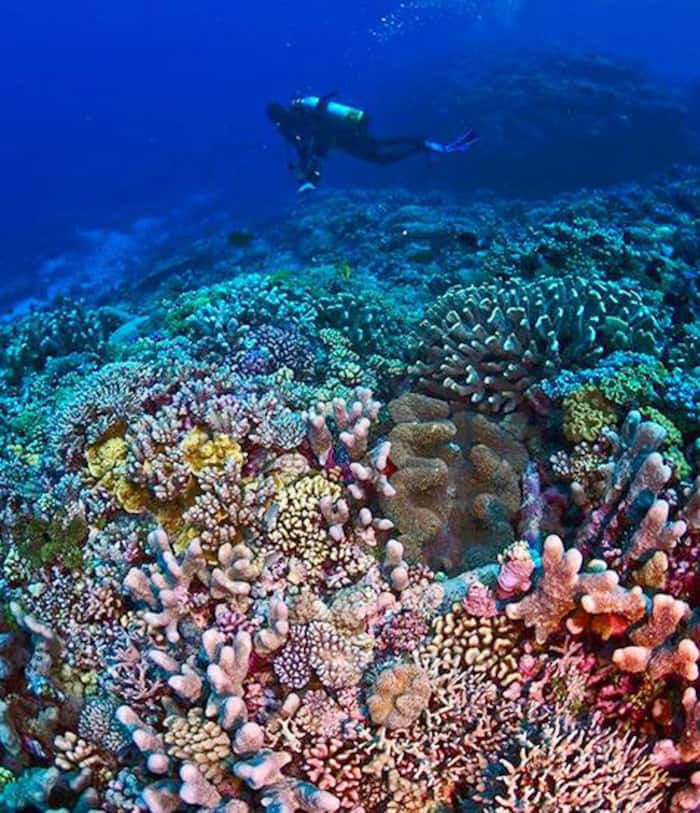 Great Barrier Reef