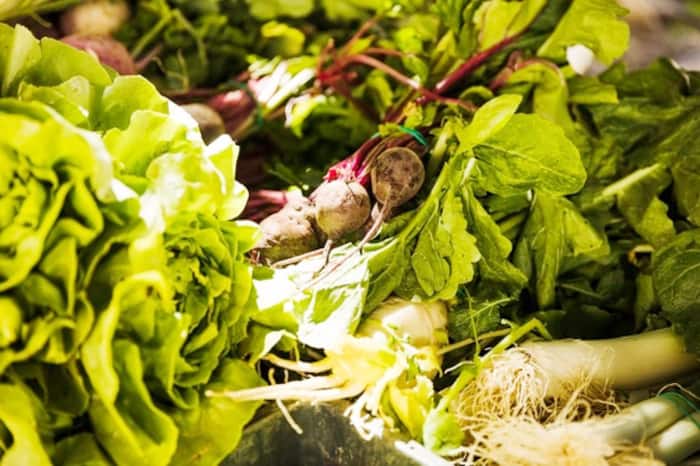 5 Foods That Help in Safeguarding Lung Health