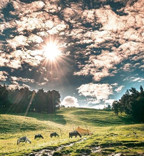 Gulaba is better than Rohtang Pass