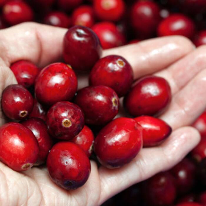 Have these 5 fruits to keep your kidney healthy