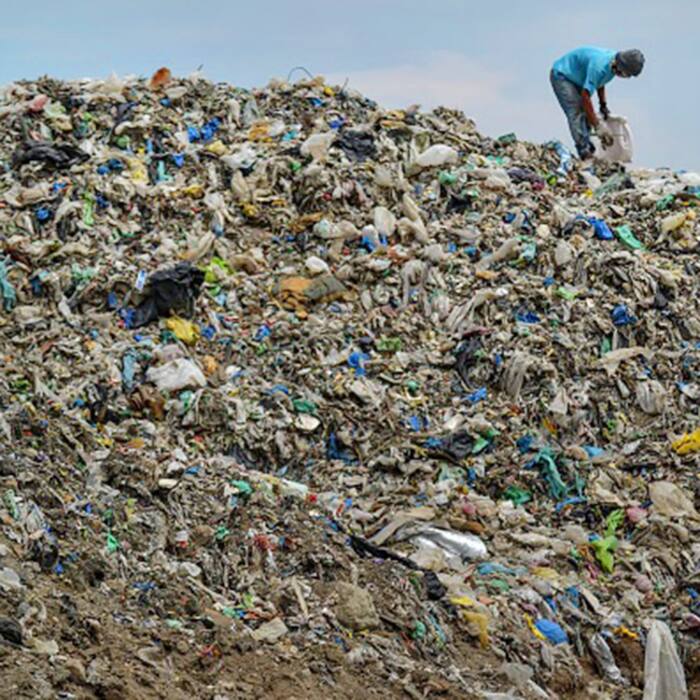 World Environment Day: 7 pics that will make you realize the importance ...