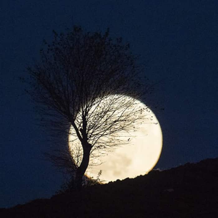 13 beautifully captured pictures of Supermoon from across the globe on ...