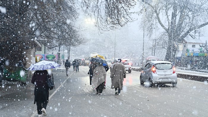 Postcards From Srinagar As Snow Blankets Valley | PHOTOS