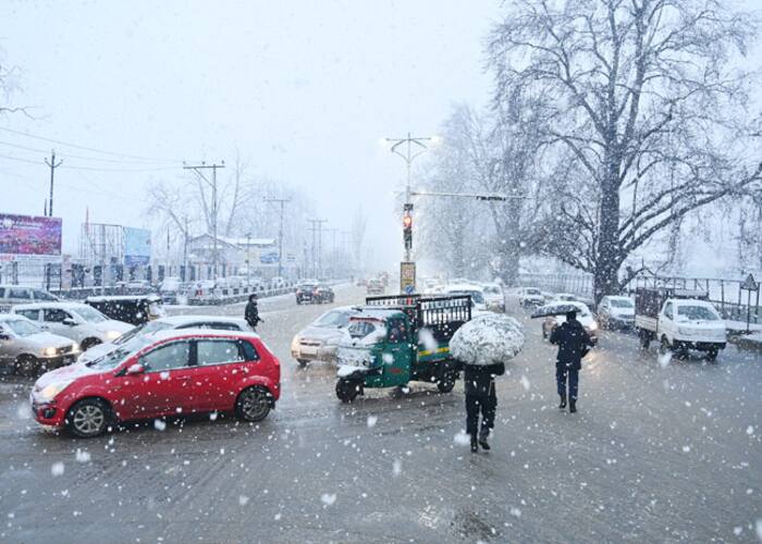 Postcards From Srinagar As Snow Blankets Valley | PHOTOS