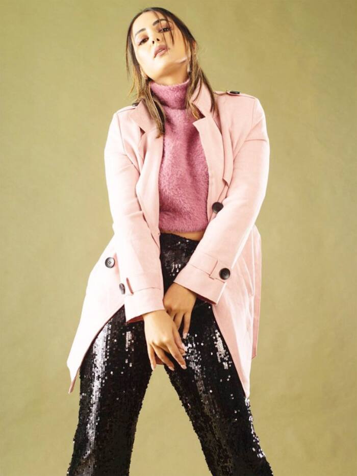 Hina Khan recreated the ancient fashion in her photos