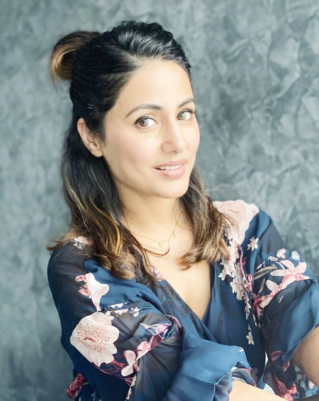 Hina Khan's sheer dress
