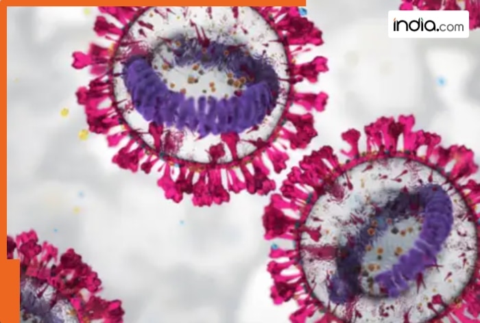 What is Nipah virus?