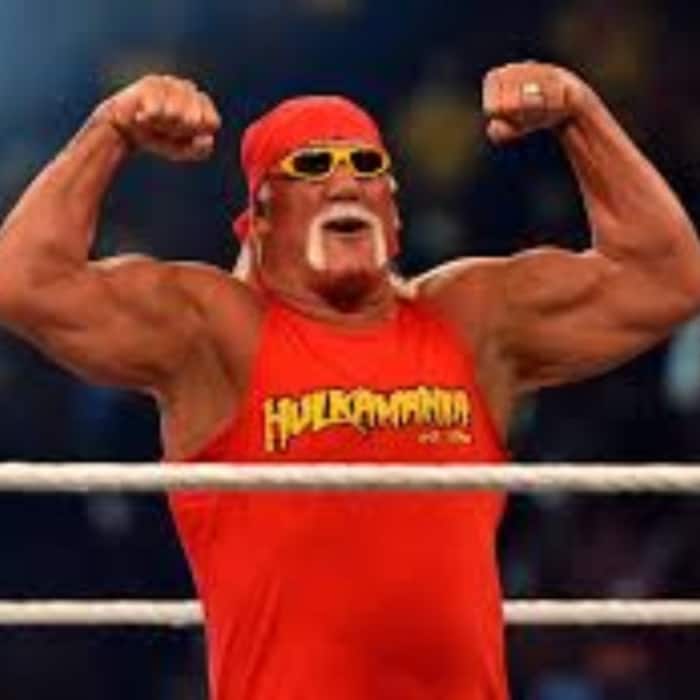 The Ultimate Warrior to Macho Man Randy Savage: WWE legends from Hulk ...