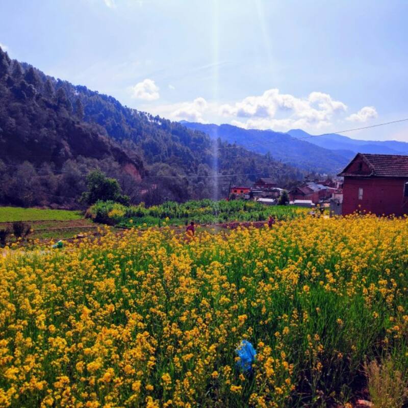 6 Most Breathtaking Flower Valleys In India