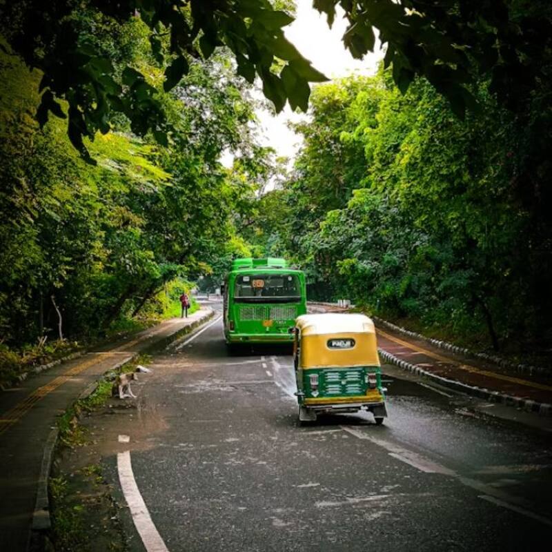8 Top Eco-Friendly Destinations In India For Sustainable Travelers