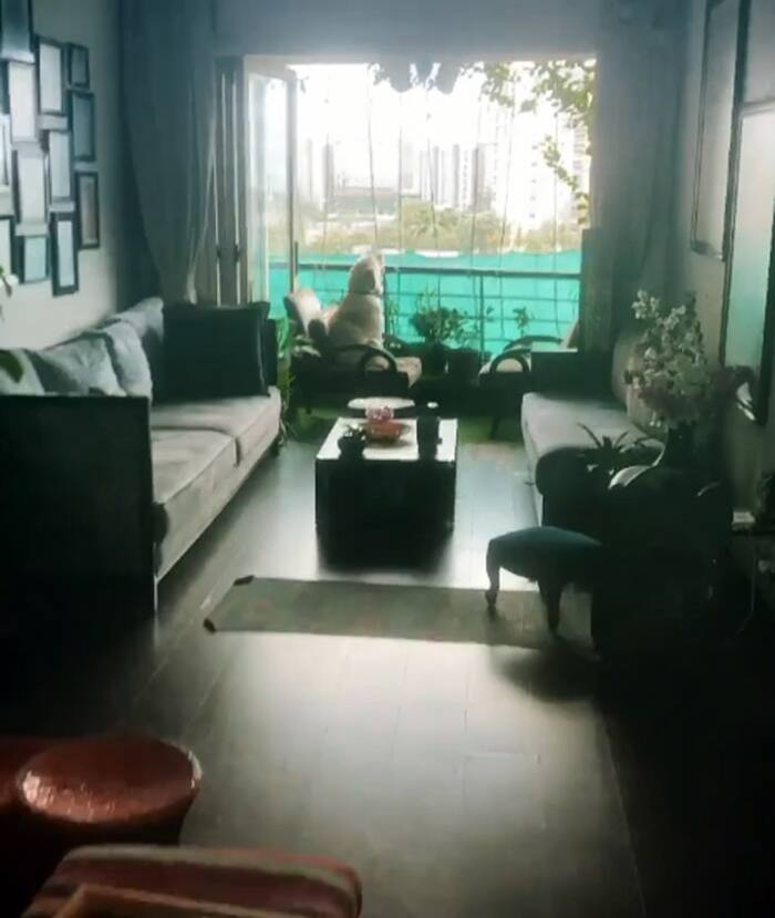 Inside Ankita Lokhande's Mumbai House: Simple Interiors, Fairy Lights ...