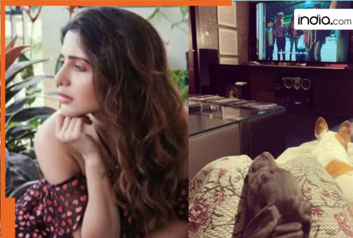 Inside pics of Samantha Ruth Prabhu’s luxurious Hyderabad house worth Rs...: Aesthetic backyard ...