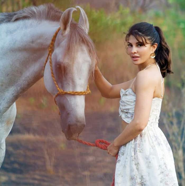Jacqueline Fernandez is one of the most established actors in Bollywood