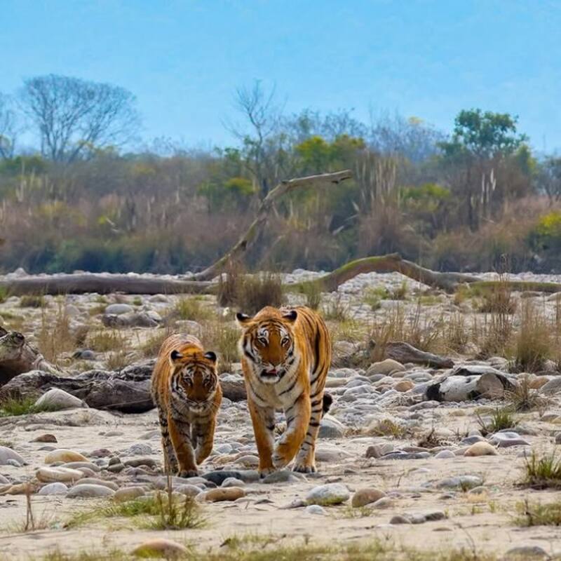 Discover The 7 Most Beautiful National Parks In Asia