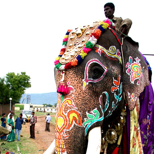 Jumboo Savari is also the main attraction of this festival