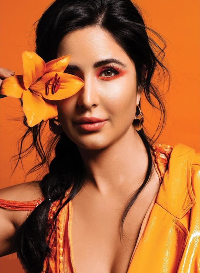 Katrina Kaif Hotness Personified