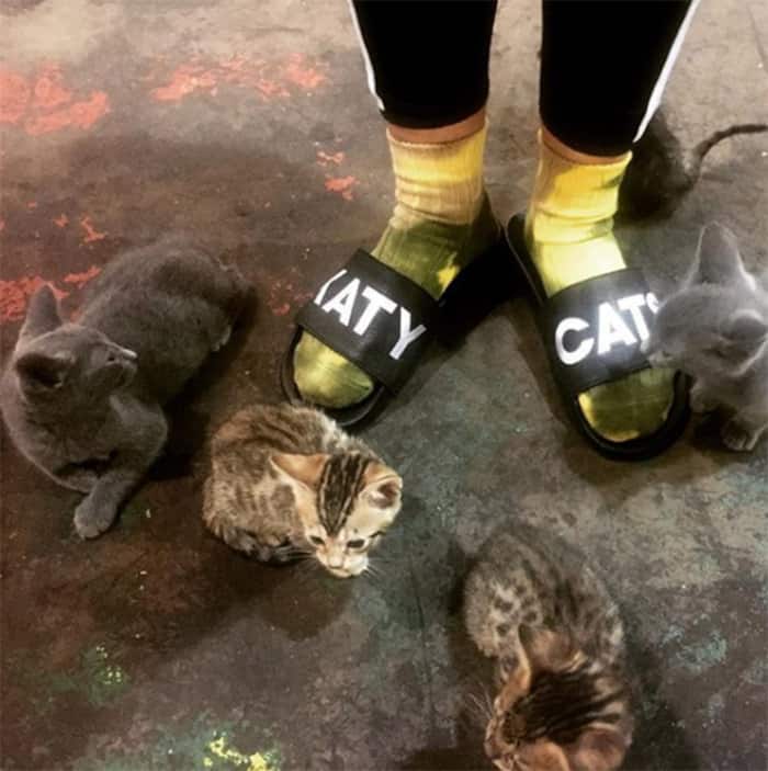 International Cat Day: Celebs who love their Furry Friends