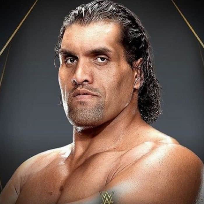 Vicky Jain, Hina Khan, Khali to Sajid Khan, list of richest Bigg Boss ...