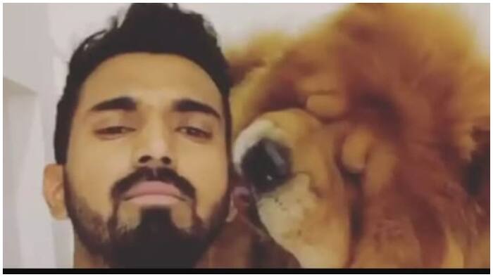 In Pics: Indian Cricketers And Their Adorable Pets