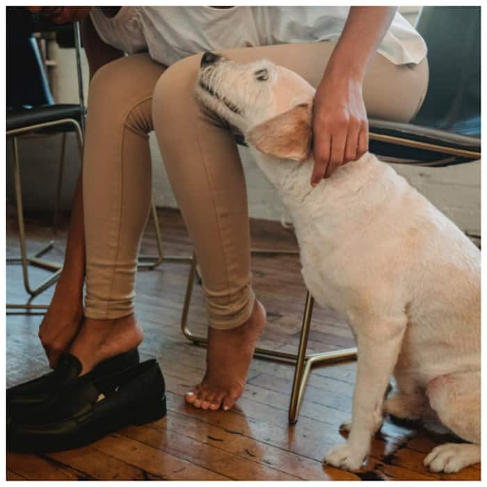 Not Sure Your Dog Loves You? Here Are 5 Signs To Look For