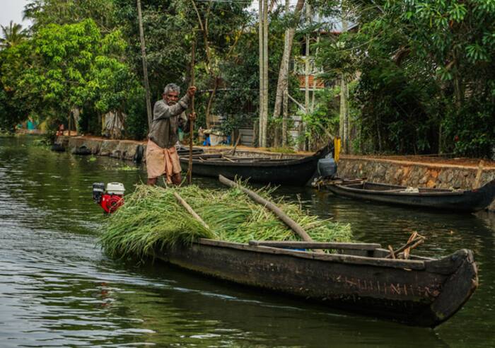 8 Reasons to Visit Alappuzha Backwaters