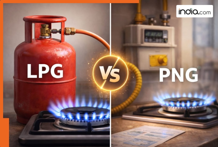 LPG vs PNG: Pros and Cons you should know